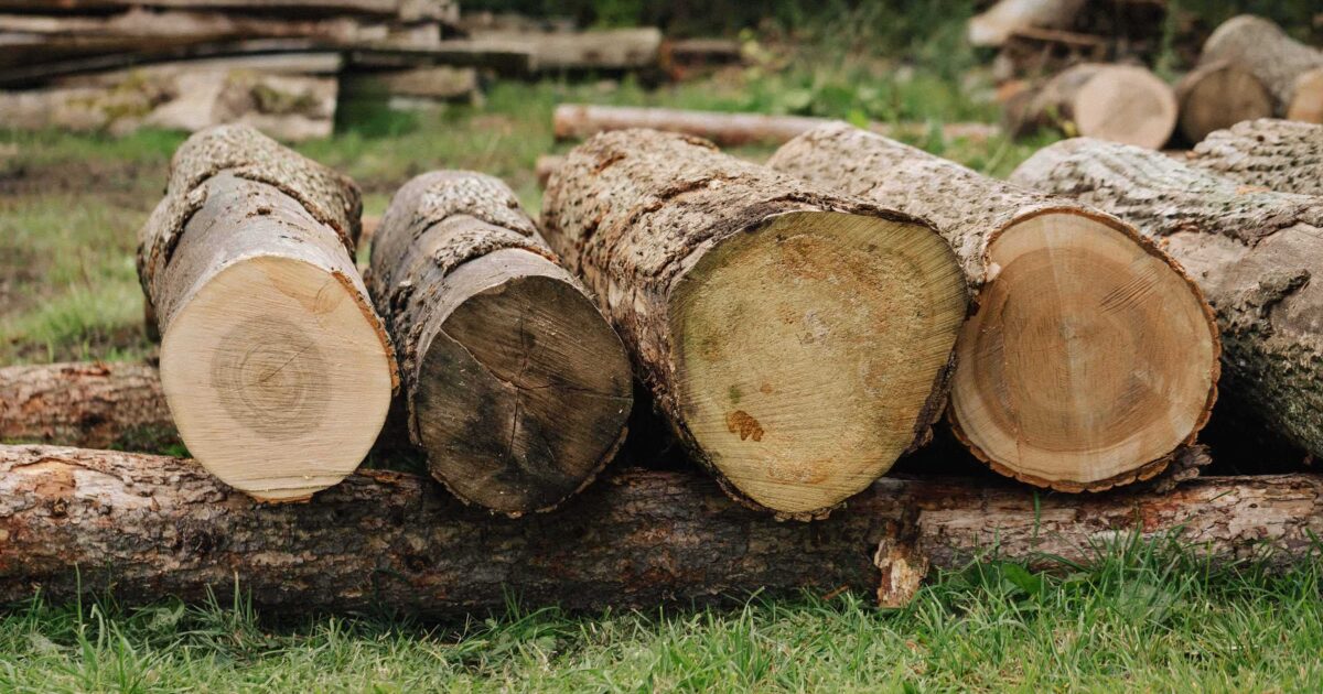 Our Sustainable Promise | Angus+Mack